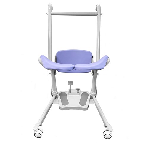 Smart Stand Patient Transfer Aid - Manual Transfer - Alpha Lifecare ...